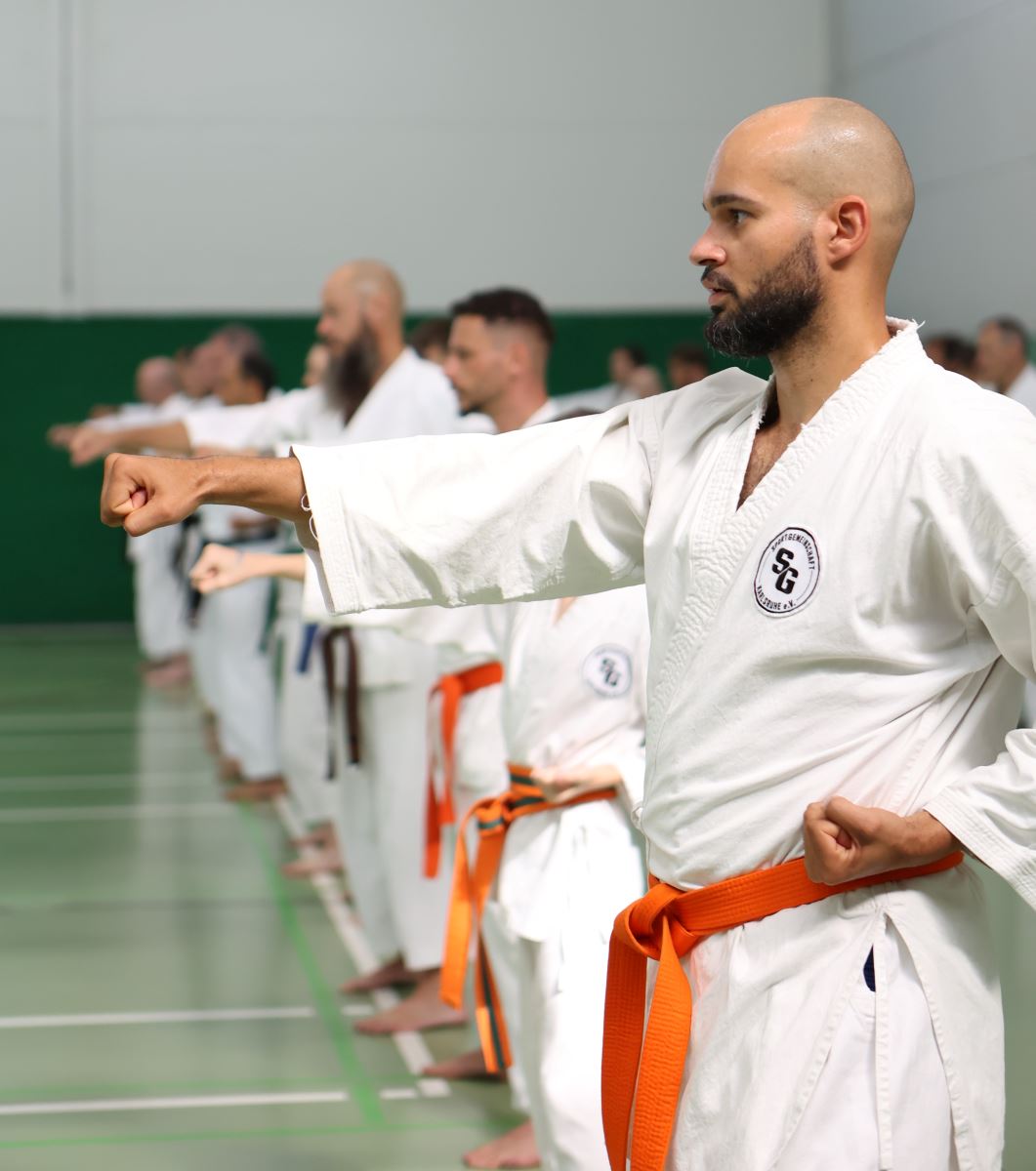 Karate Anfängerkurse Jugendliche und Erwachsene – Sportgemeinschaft ...